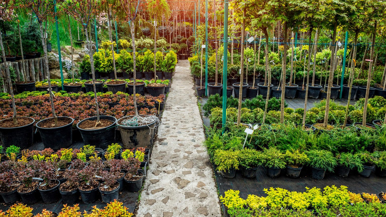 Materials and granules packaging | Colly & Martin